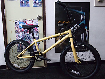 在庫車 | ACTIVE CYCLE 884